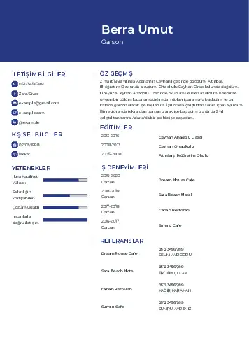 Canvas CV Hazırlama ve Kullanımı | Cv Hazırlama